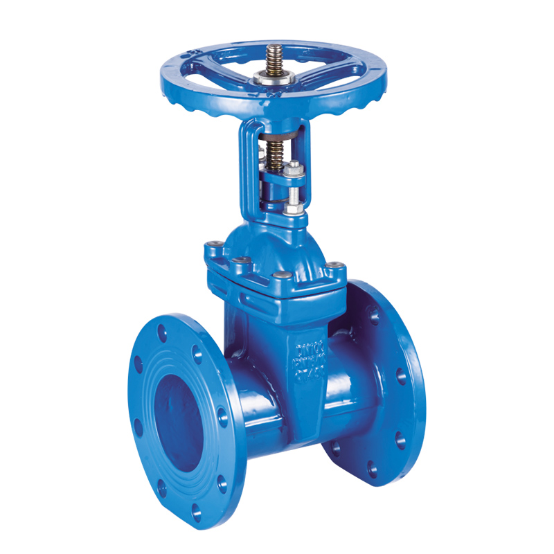 Z41X弹性座封闸阀 - 吉龙消防科技（浙江）有限公司